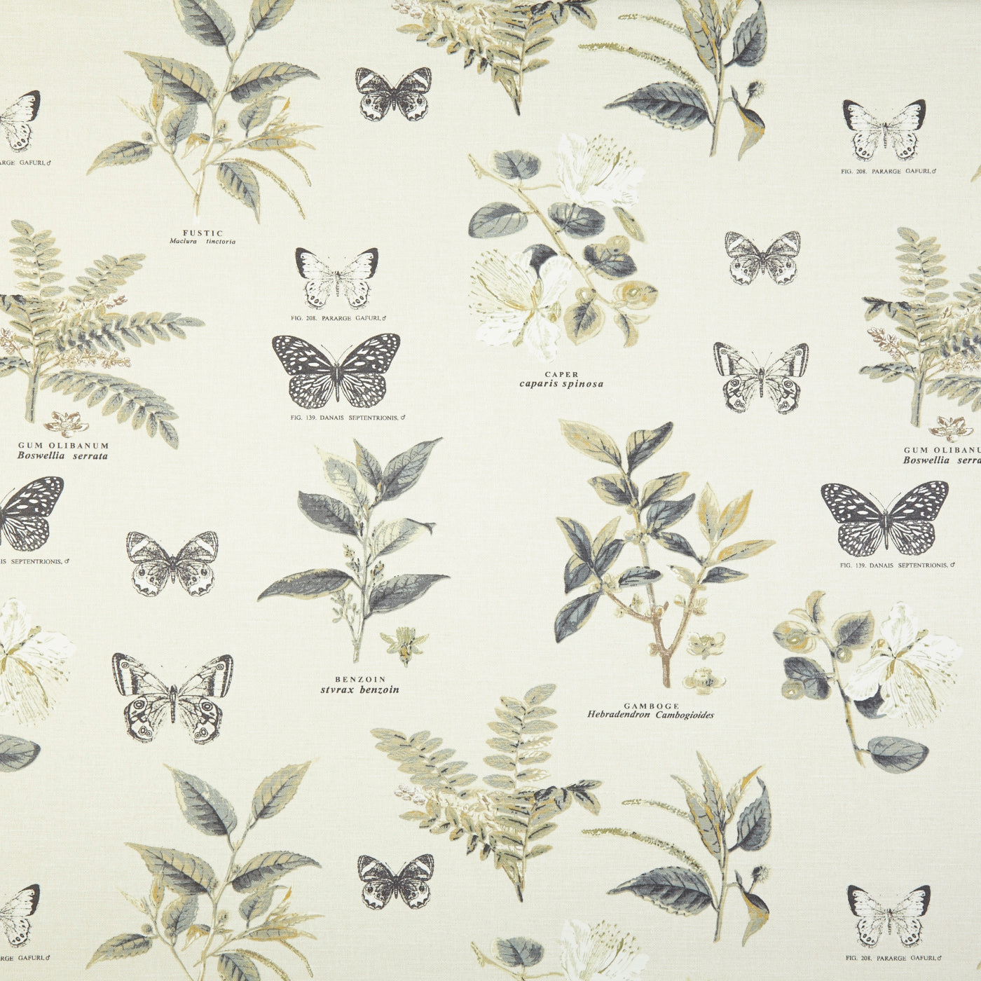 Botany Fabric – Interiors Online UK Ltd